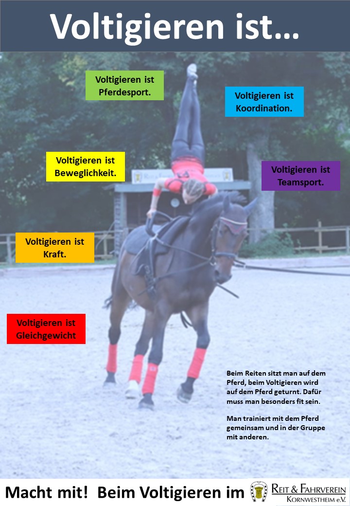 Förderpreis Breitensport 2022 – Der Voltigierzirkel